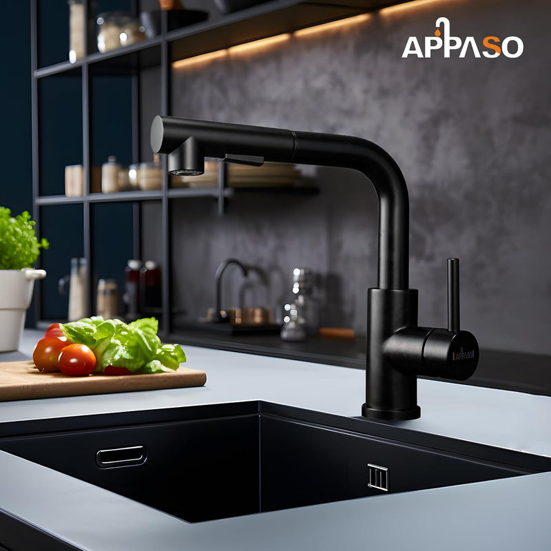 APPASO Pull Out Kitchen Faucet & Reviews | Wayfair
